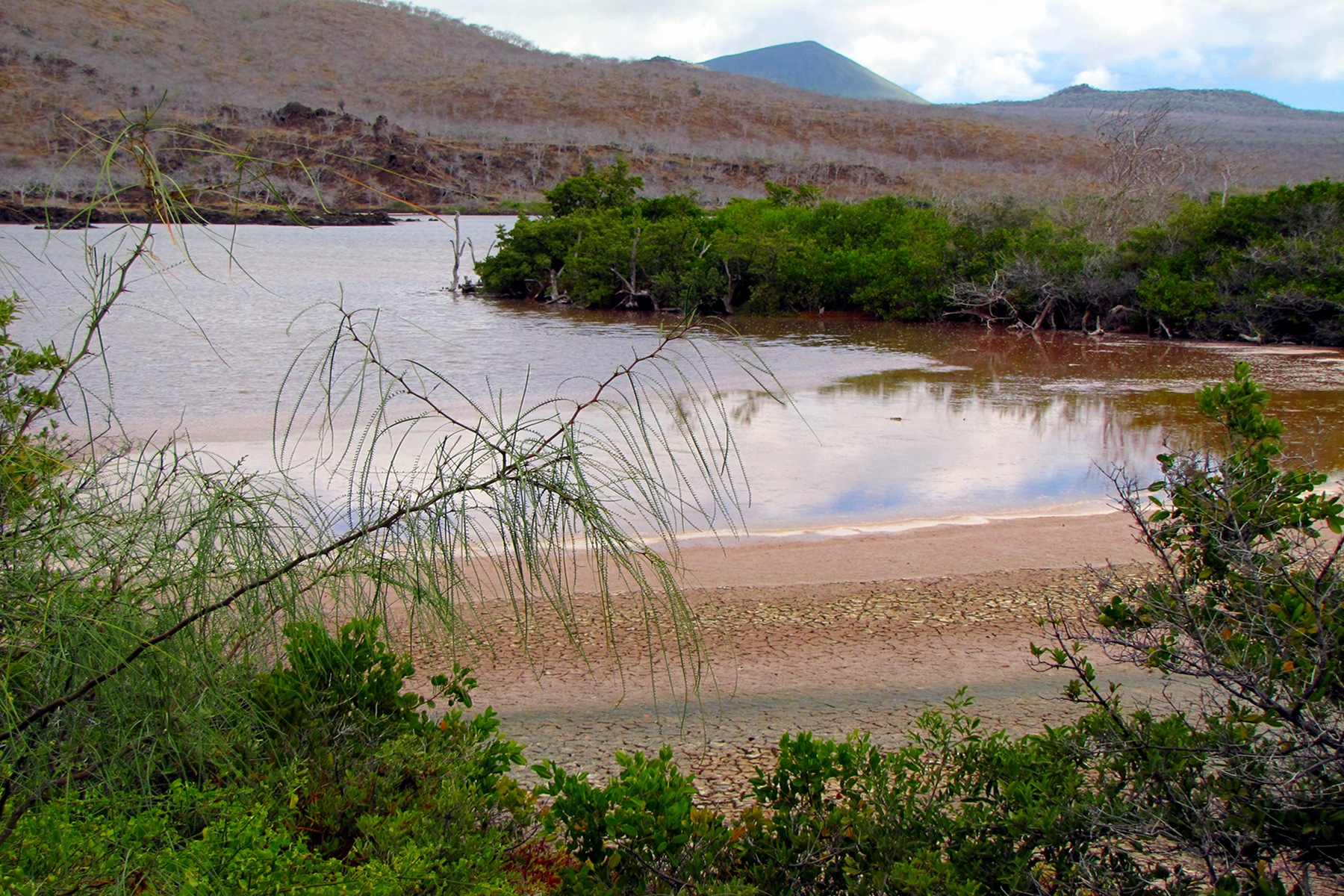 Cormorant Point, Floreana, Galapagos Cruise Port - Cruiseline.com